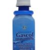 Gascol Antacid Suspension | My Big Pharmacy Nigeria
